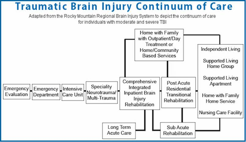 Virginia Brain Injury Council - Virginia Department for Aging and ...